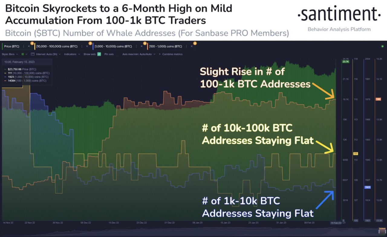 Tembus Rp363 Juta, Kenapa Bitcoin (BTC) Naik Hari Ini? - Pintu News