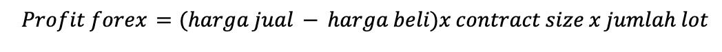 Cara Menghitung Profit Trading Forex, Saham, dan Crypto - Pintu Blog