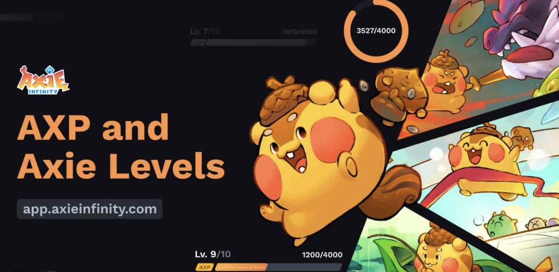 Axie Infinity Umumkan Peluncuran Axie Experience Points (AXP), Apakah ...