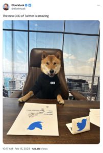 Floki Inu (FLOKI), Meme Coin yang Siap Jadi Pesaing Dogecoin dan Shiba Inu? - Pintu News