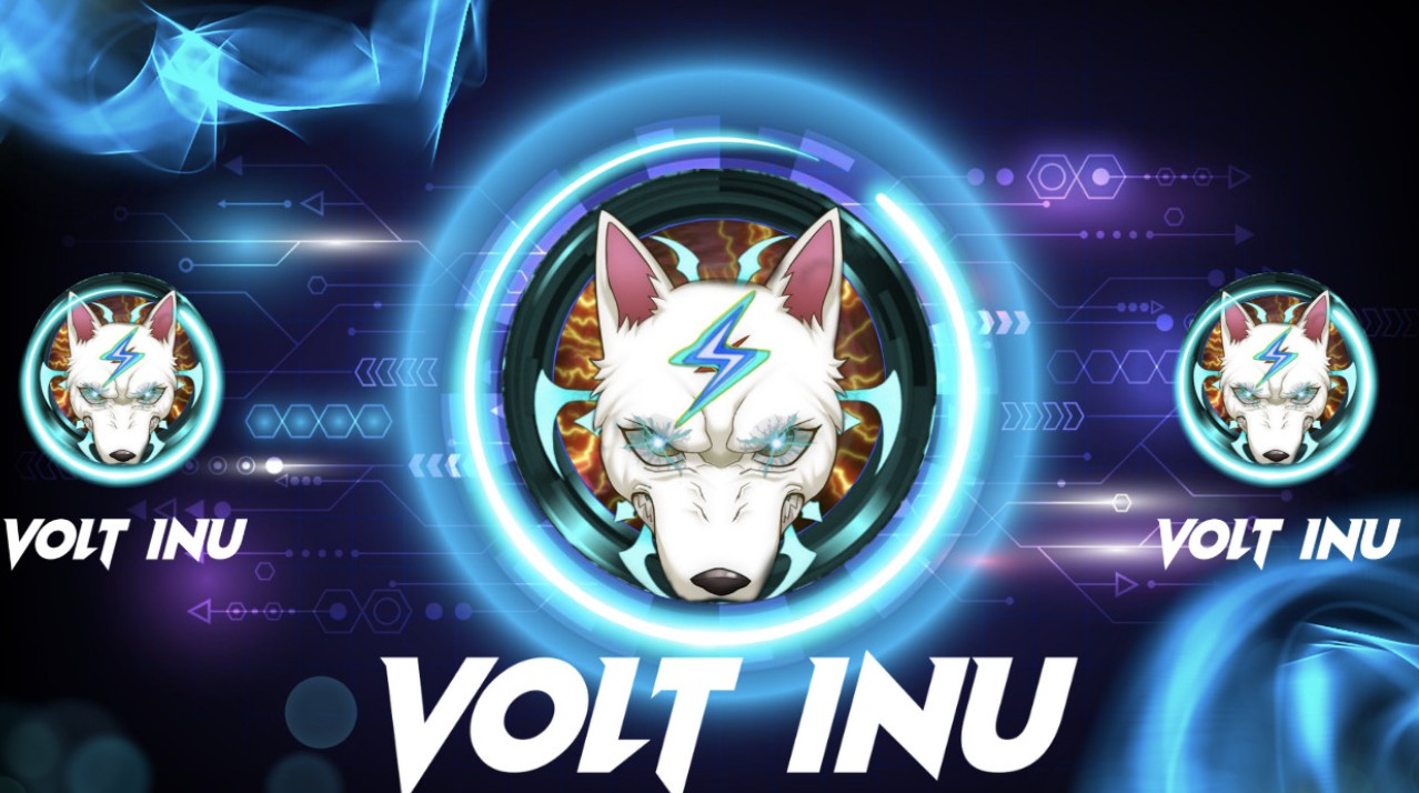 Mengenal Lebih Dekat Volt Inu (VOLT), Memecoin Solusi Bagi Penggemar DeFi! - Pintu News