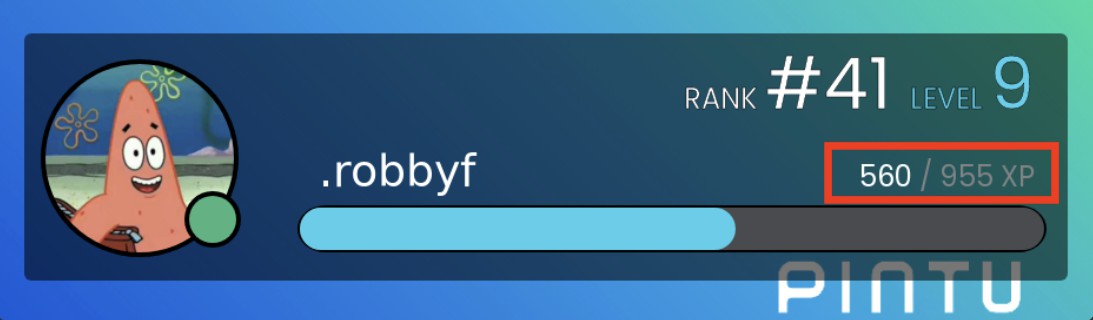 Discord Level Up: Join Pintu Community and Gain More XP - Pintu Blog