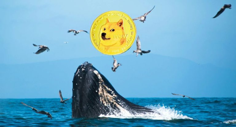 Para Whale Dogecoin Mengumpulkan 276 Juta Koin, Harga DOGE to the Moon? - Pintu News