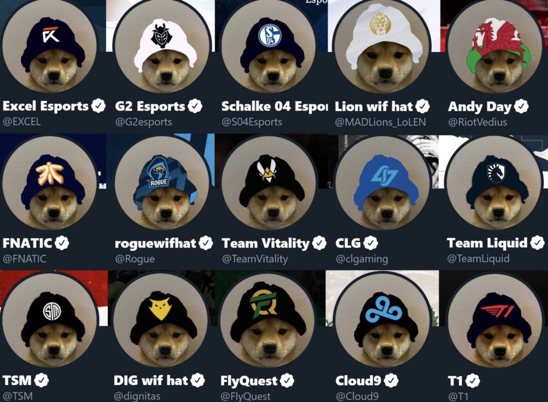 Dogwifhat: Memecoin Anjing Bertopi Ini Bisa Saingi Doge dan Shib ...