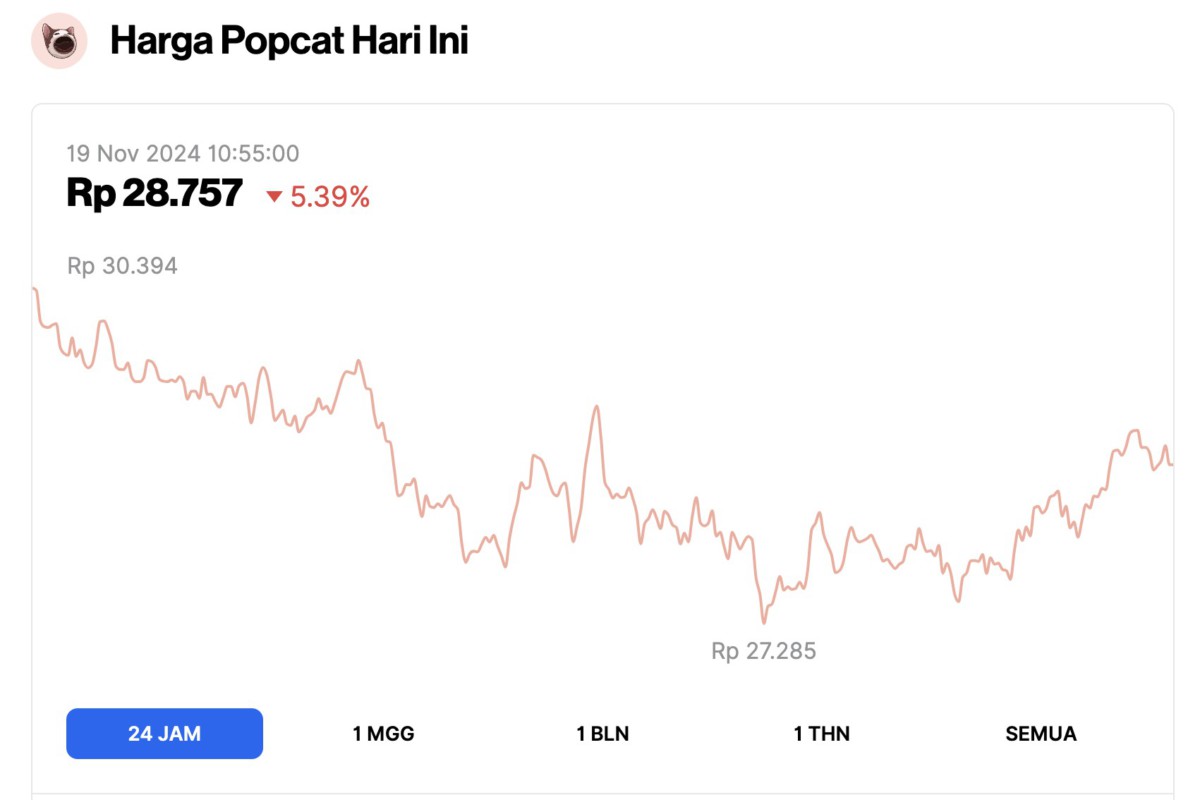 Harga POPCAT Alami Koreksi Hari Ini (19/11/24): 2 Memecoin Lainnya Melonjak! - Pintu News
