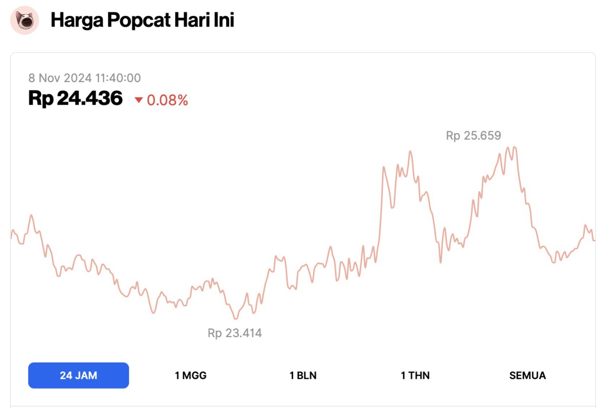 Harga POPCAT Merosot, 2 Meme Coin Melonjak Tipis Hari Ini (8/11/24) - Pintu News