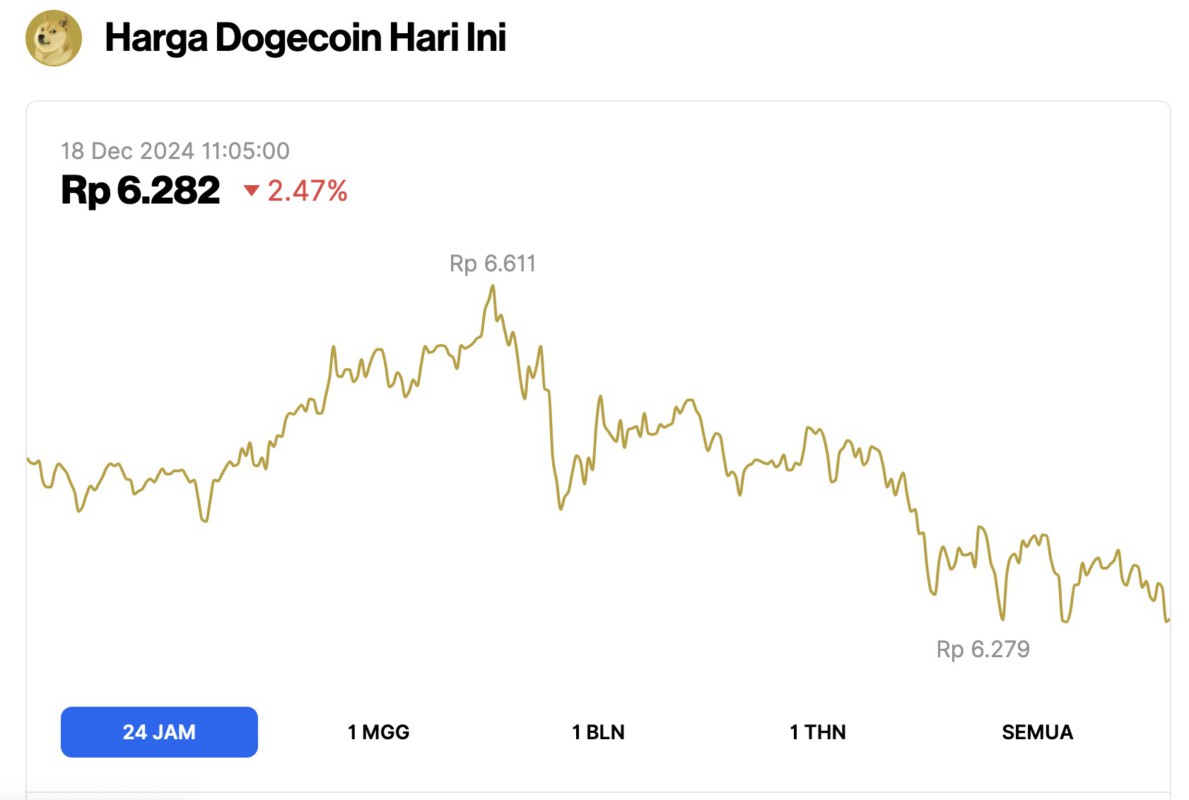 Harga Dogecoin Alami Koreksi Hari Ini (18/12/24): Apa yang Terjadi dengan DOGE? - Pintu News