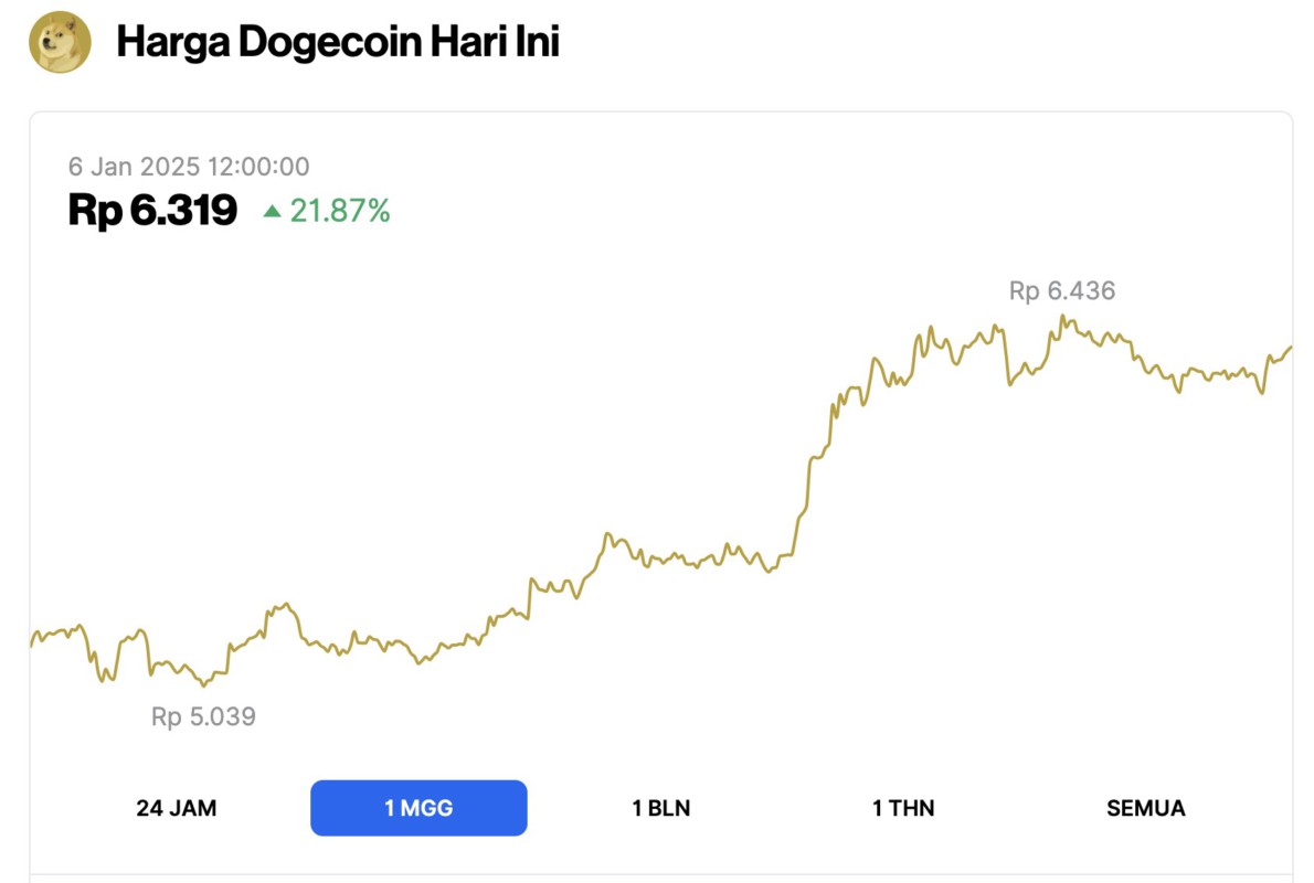 Harga Dogecoin Turun Tipis Hari Ini (6/1/25): Galaxy Research Prediksikan Harga DOGE Bisa Sentuh ...