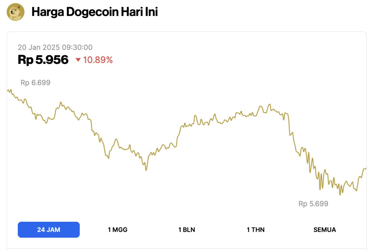 Harga Dogecoin Anjlok 10% Hari Ini (20/1/25): Bagaimana Prediksi DOGE Selanjutnya? - Pintu News