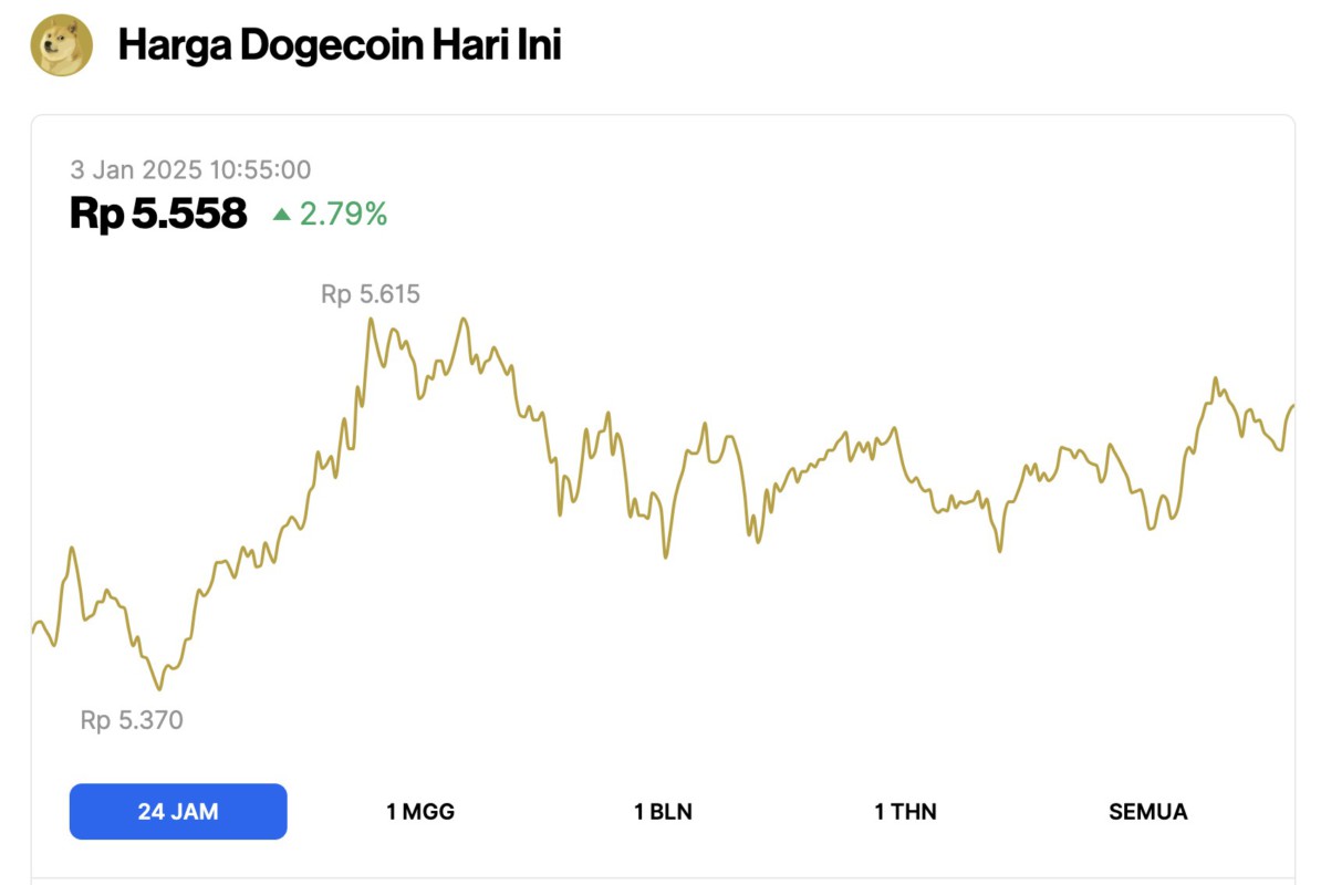 Harga Dogecoin Melonjak Hari Ini (3/1/25): Analis Crypto Sebut DOGE Tengah Bersiap untuk Bull ...
