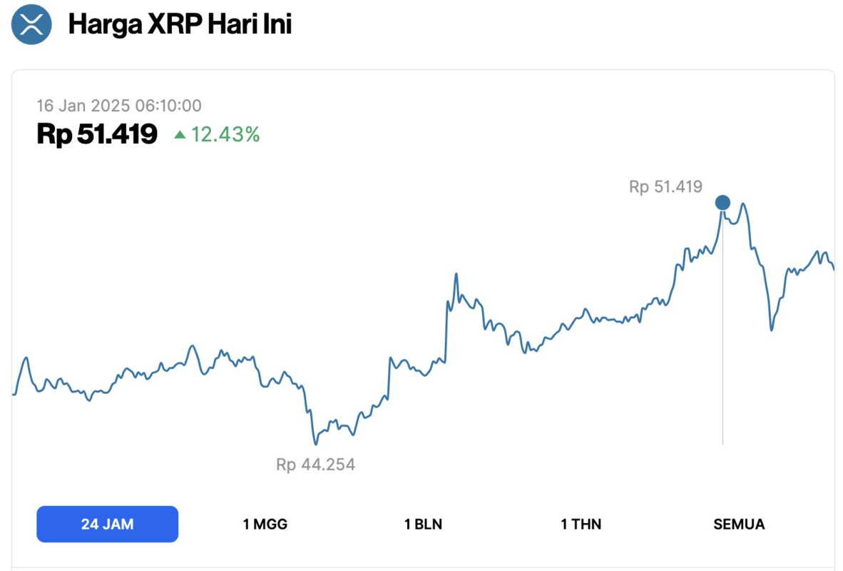 Harga XRP Melonjak ke Rp51.000 Hari Ini (16/1/25): XRP Kalahkan Bitcoin di Google! - Pintu News
