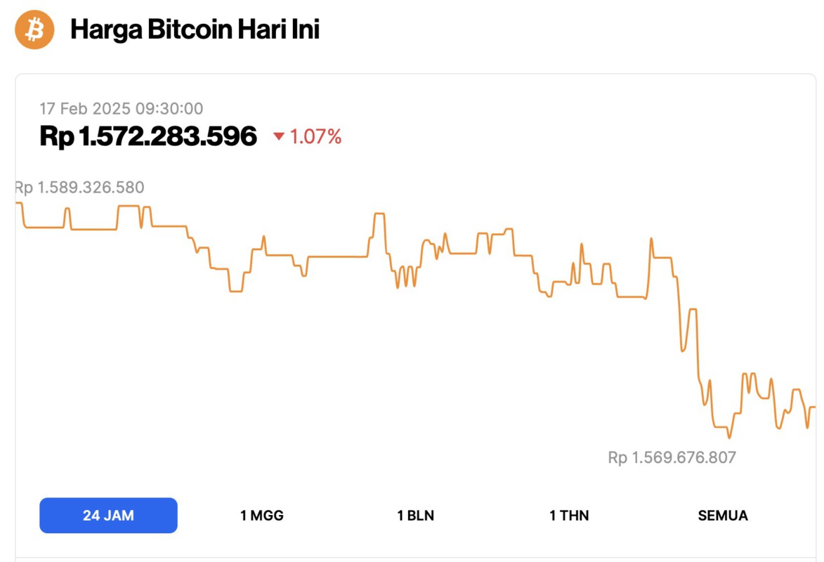 Harga Bitcoin Melemah Hari Ini (17/2/25): BTC Menunjukkan Risiko ...