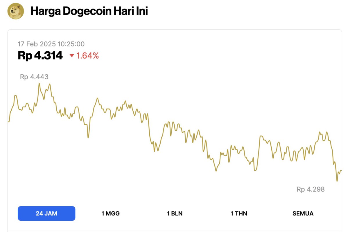 Harga Dogecoin Anjlok Hari Ini (17/2/25): Begini Prediksi DOGE Jika ...