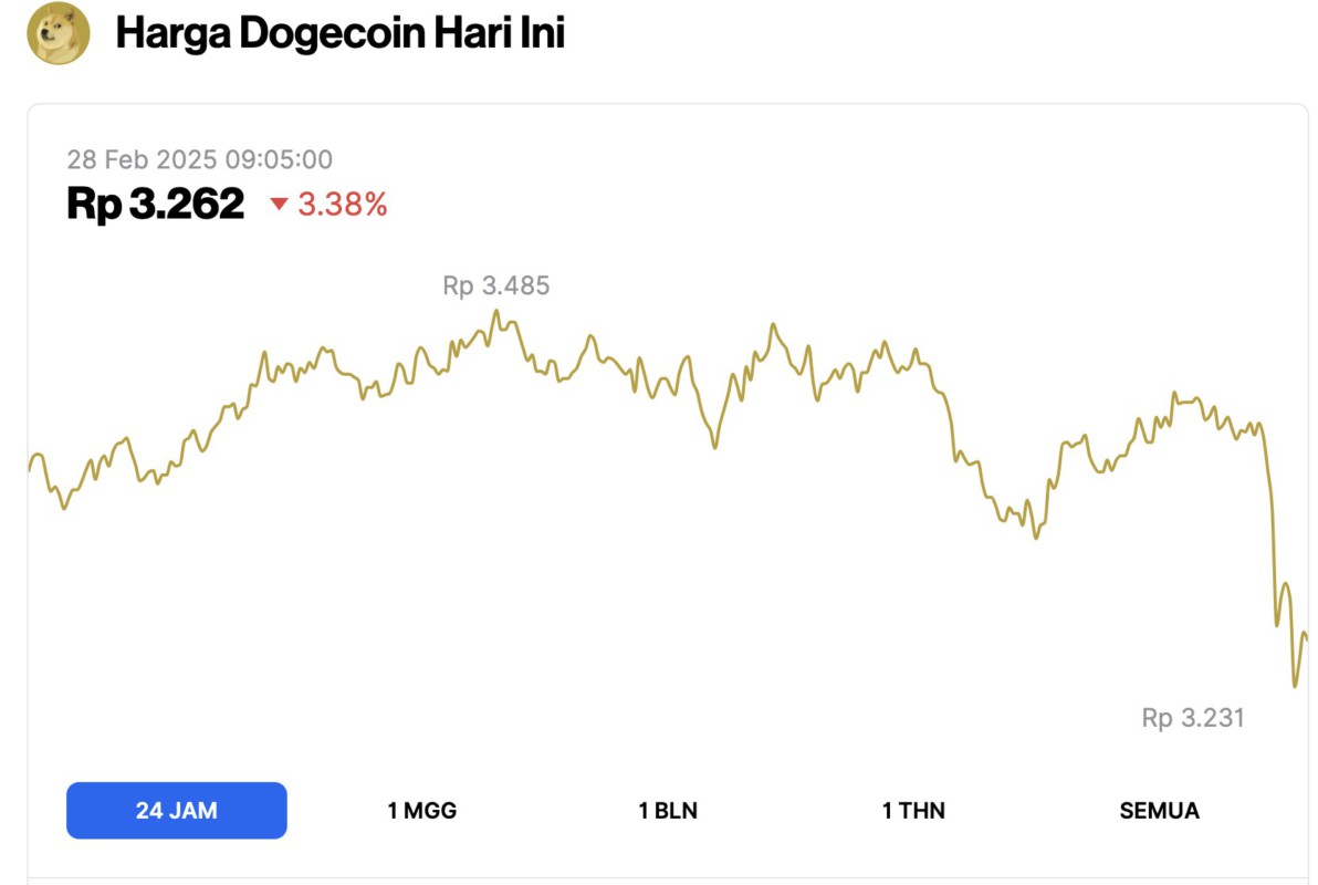 Dogecoin Drops 3% Today (2/28/25): Crypto Analysts Give Optimistic Outlook for DOGE! - Pintu News