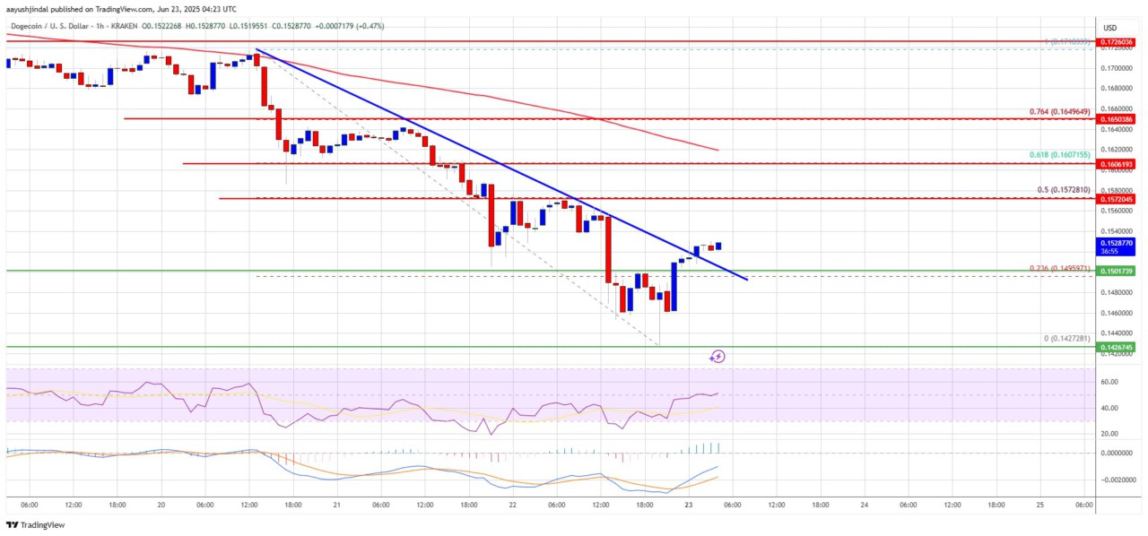 Check out Dogecoin’s (DOGE) Potential Recovery After a Drastic Drop! - Pintu News