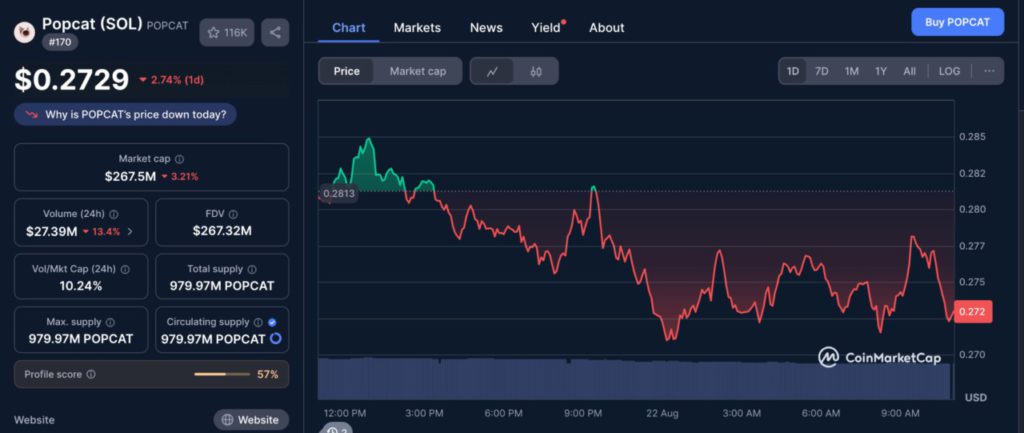 Harga Popcat (POPCAT) Turun 3,3% dalam 24 Jam: Apa yang Terjadi? – 22 Agustus 2025 - Pintu News