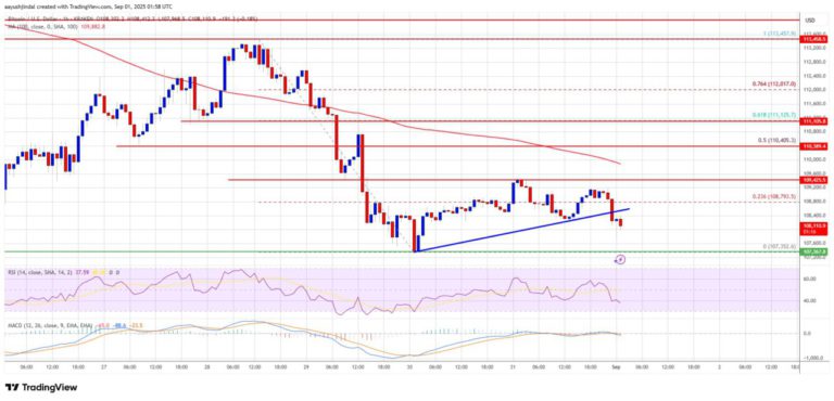 Bitcoin Price Warning: Is a Big Drop Coming in September 2025? - Pintu News